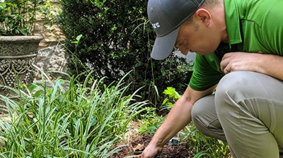 Home Pest Control Greater Atlanta, GA | Procare Pest Services