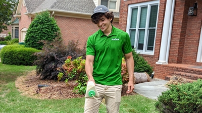 Home Pest Control Greater Atlanta, GA | Procare Pest Services