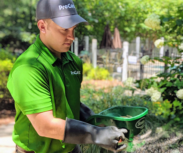 Residential Pest Control